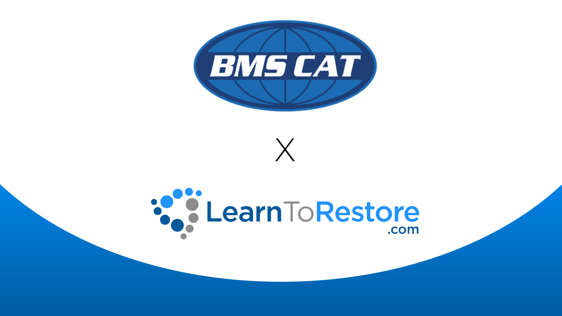 Welcome BMS CAT - LearnToRestore.com